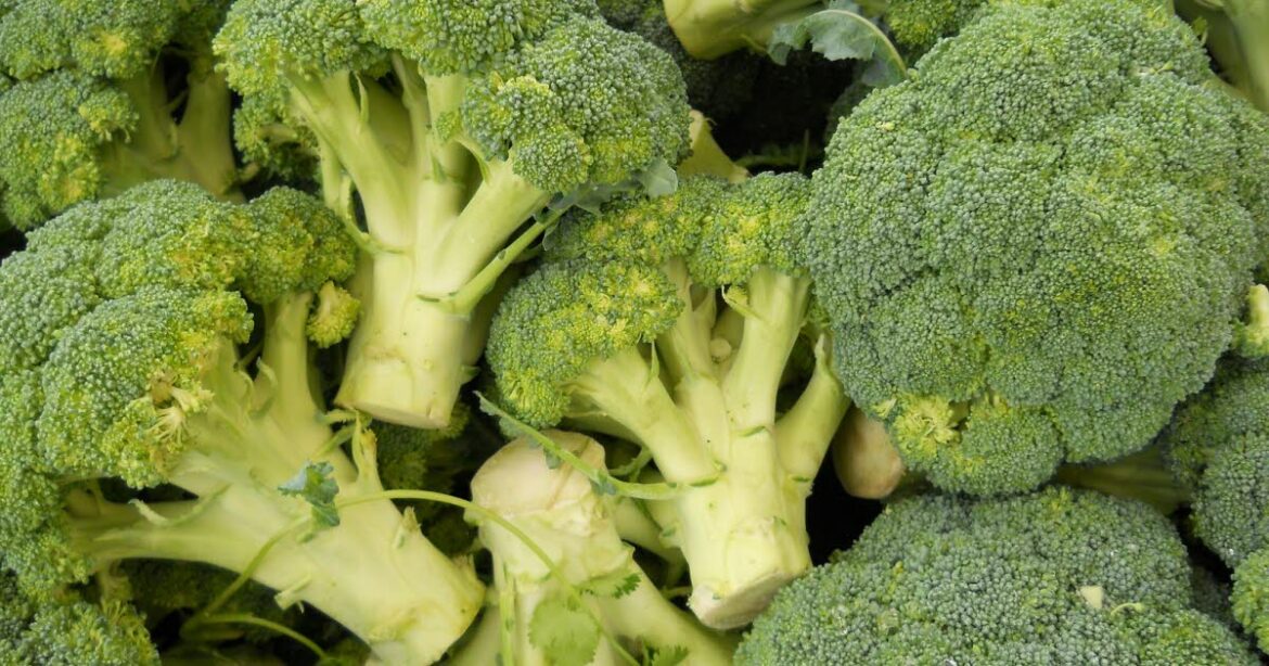 La nutrition. Pourquoi le brocoli est un "super aliment" sain ...