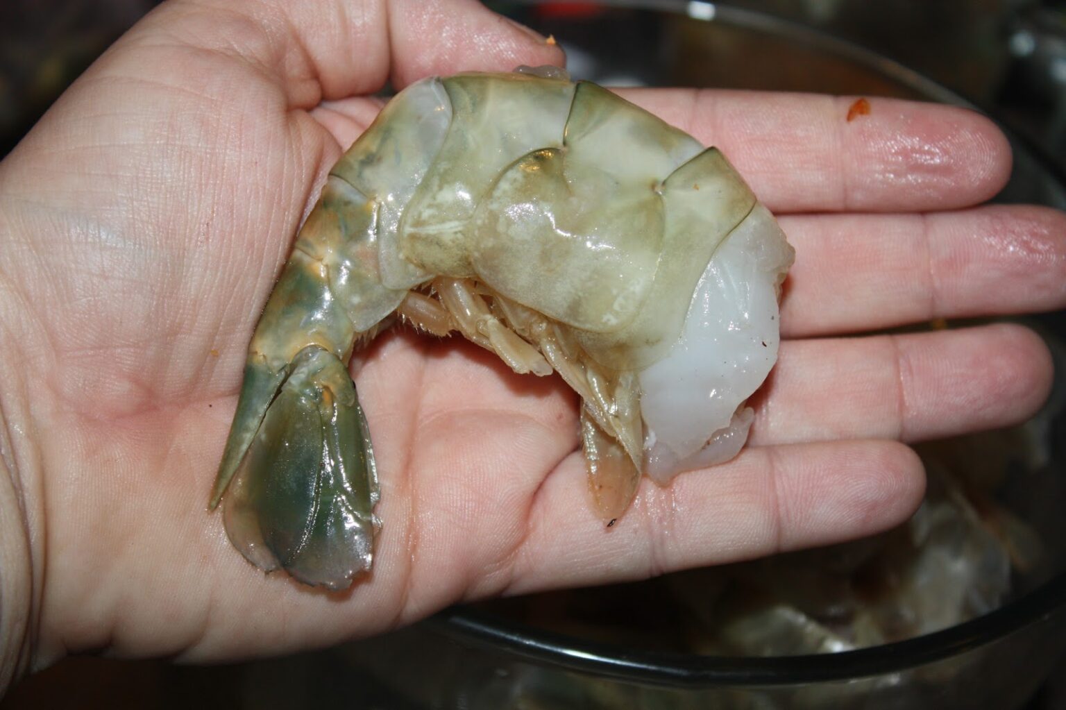 Comment savoir la grosseur des crevettes