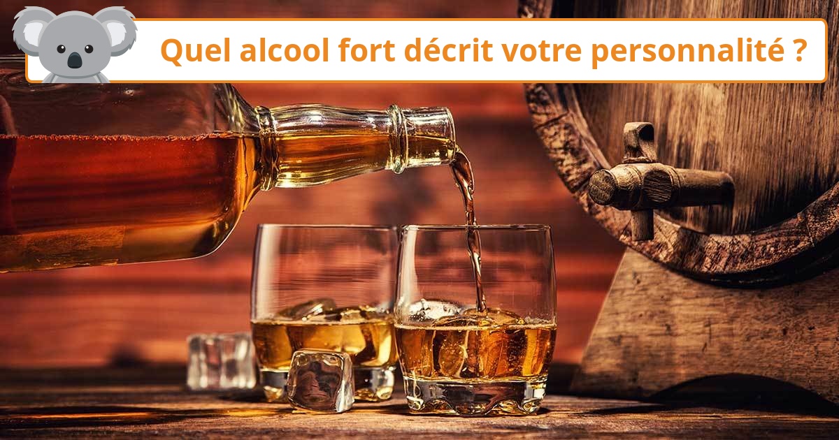 Quel alcool est fort