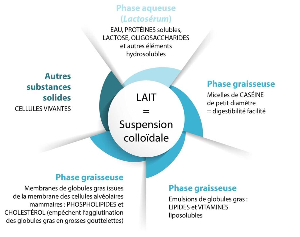 Quel sont les composants du lait ? – LesRecettes | Meilleures Idées ...